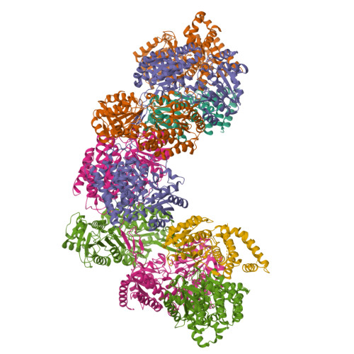 RCSB PDB - 8UHW: The structure of the Clostridium thermocellum AdhE ...