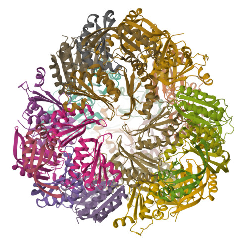 RCSB PDB - 8UI2: T33-ml28 - Designed Tetrahedral Protein Cage Using ...