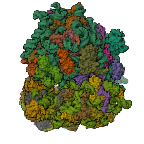 RCSB PDB - 8UIK: In situ HHT and CHX treated human 80S ribosome with ...