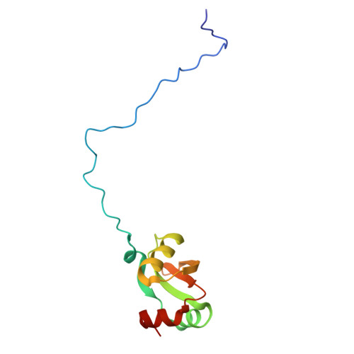 RCSB PDB - 8UJJ: In situ HHT and CHX treated A-P state 80S ribosome