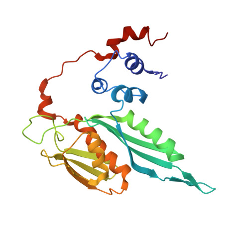 RCSB PDB - 8UJJ: In situ HHT and CHX treated A-P state 80S ribosome