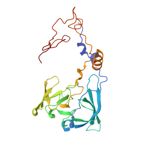RCSB PDB - 8UJJ: In situ HHT and CHX treated A-P state 80S ribosome