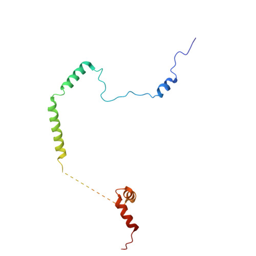 RCSB PDB - 8UJJ: In situ HHT and CHX treated A-P state 80S ribosome