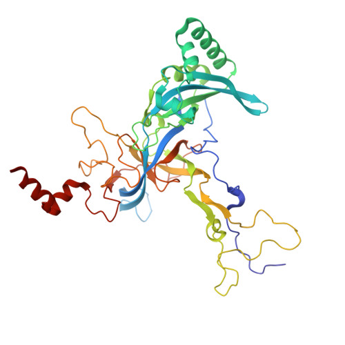 RCSB PDB - 8UJJ: In situ HHT and CHX treated A-P state 80S ribosome