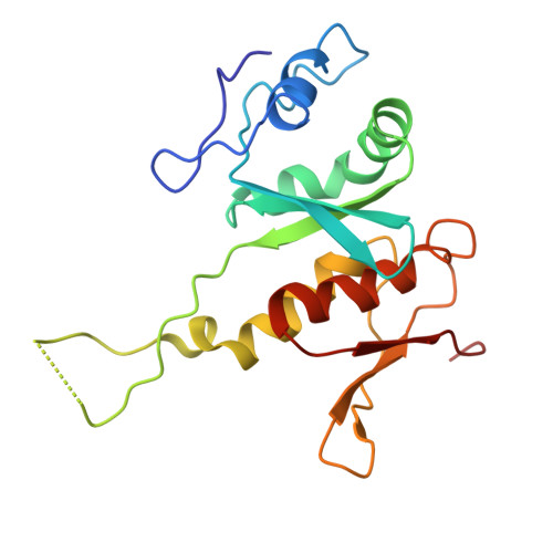 RCSB PDB - 8UJJ: In situ HHT and CHX treated A-P state 80S ribosome