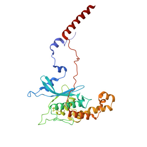 RCSB PDB - 8UJJ: In situ HHT and CHX treated A-P state 80S ribosome
