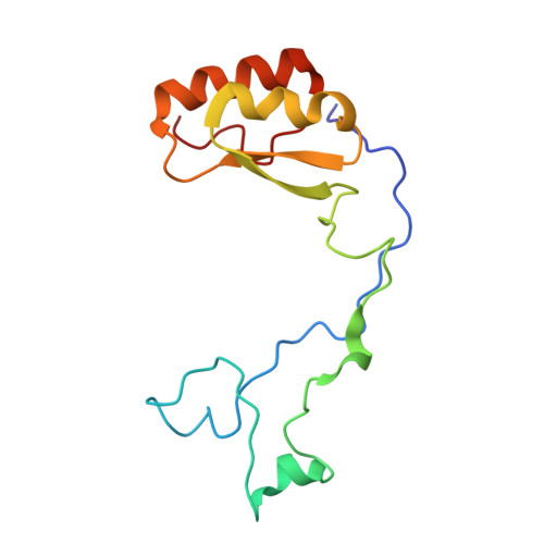 RCSB PDB - 8UJJ: In situ HHT and CHX treated A-P state 80S ribosome