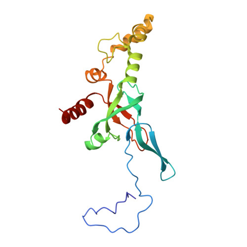 RCSB PDB - 8UJJ: In situ HHT and CHX treated A-P state 80S ribosome
