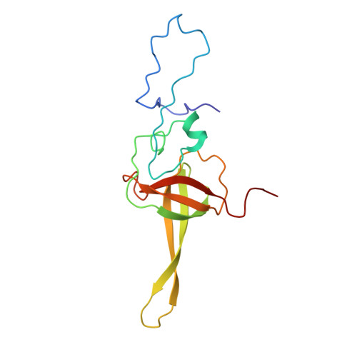 RCSB PDB - 8UJJ: In situ HHT and CHX treated A-P state 80S ribosome