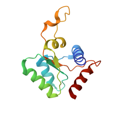 RCSB PDB - 8UJJ: In situ HHT and CHX treated A-P state 80S ribosome