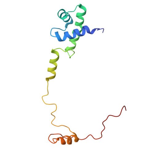 RCSB PDB - 8UJJ: In situ HHT and CHX treated A-P state 80S ribosome