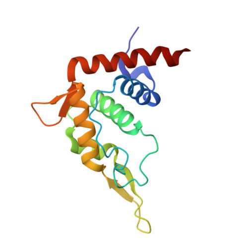 RCSB PDB - 8UJJ: In situ HHT and CHX treated A-P state 80S ribosome