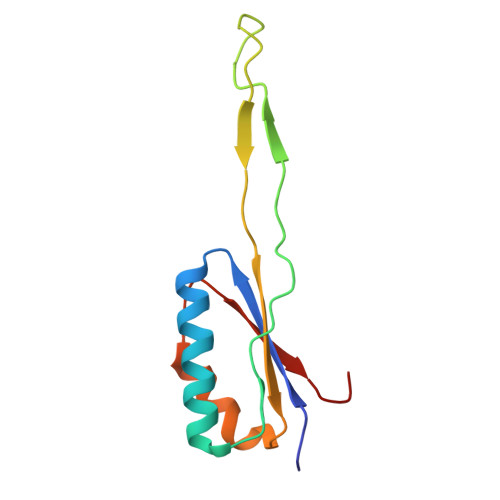RCSB PDB - 8UJJ: In situ HHT and CHX treated A-P state 80S ribosome