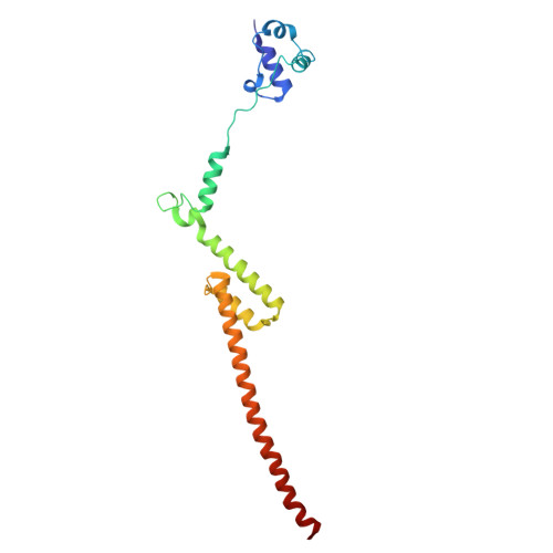 RCSB PDB - 8UJJ: In situ HHT and CHX treated A-P state 80S ribosome