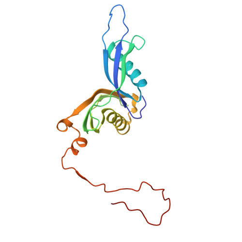 RCSB PDB - 8UJJ: In situ HHT and CHX treated A-P state 80S ribosome