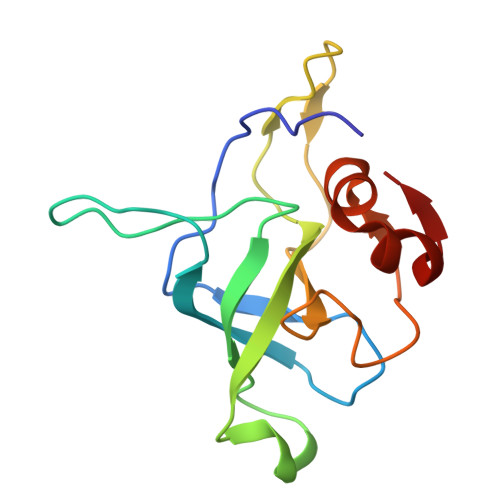 RCSB PDB - 8UJJ: In situ HHT and CHX treated A-P state 80S ribosome