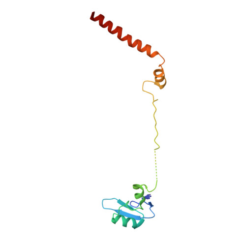 RCSB PDB - 8UJJ: In situ HHT and CHX treated A-P state 80S ribosome