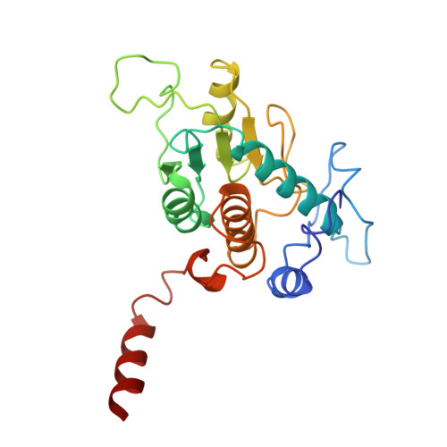 RCSB PDB - 8UJJ: In situ HHT and CHX treated A-P state 80S ribosome