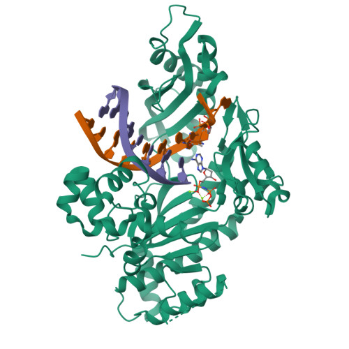 RCSB PDB - 8UJT: Crystal structure of human polymerase eta with ...