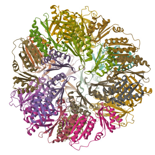 RCSB PDB - 8UKM: T33-ml30 - Designed Tetrahedral Protein Cage Using ...