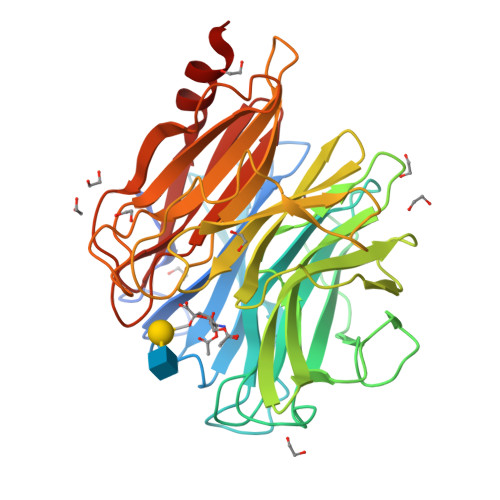 RCSB PDB - 8UM0: The structure of NanH in complex with Neu5,7,9Ac(2,6 ...