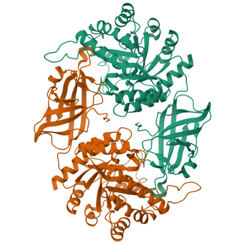 RCSB PDB - 8UN2: Microbacterium testaceum C-glucosyl deglycosidase (CGD ...
