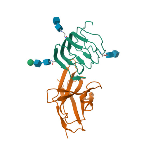 RCSB PDB - 8UOA: Structure of the synaptic vesicle protein 2A Luminal ...