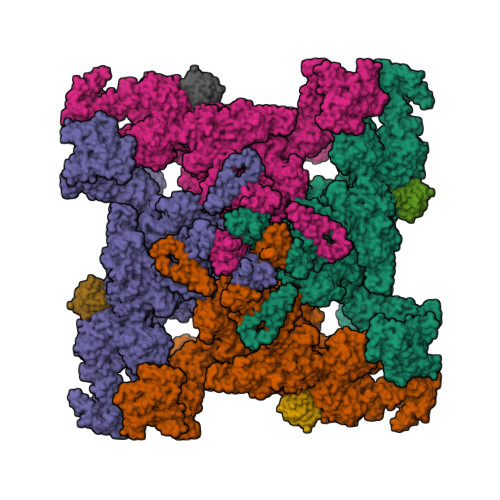 RCSB PDB - 8UQ4: Structure of human RyR2-S2808D in the subprimed state ...