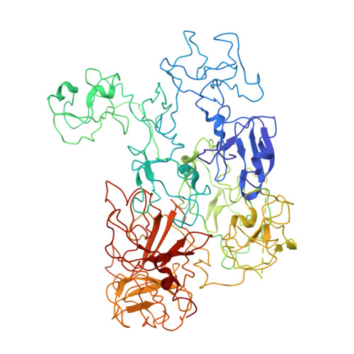 RCSB PDB - 8UQ6: Human Plasminogen bound to streptococcal surface enolase