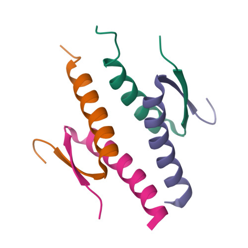 RCSB PDB - 8UQR: Crystal structure of the human p53 tetramerization domain
