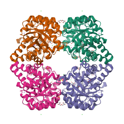 RCSB PDB - 8UR1: Crystal structure N-acetylneuraminate lyase (NanA ...