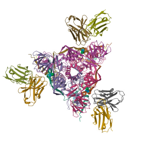 RCSB PDB - 8UT2: Pre-fusion Measles virus fusion protein complexed with ...