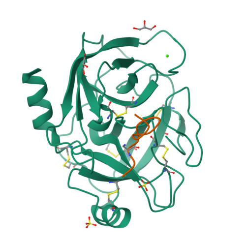 RCSB PDB - 8UTL: Bovine trypsin in complex with Thr3Dap mutated ...