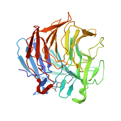 RCSB PDB - 8UXS: KLHDC2 ubiquitin ligase in complex with a novel small ...