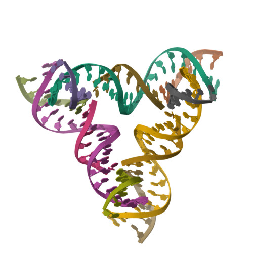 RCSB PDB - 8UY5: [ZP] Self-assembling DNA crystal with expanded genetic code using C,A,T,G, Z ...