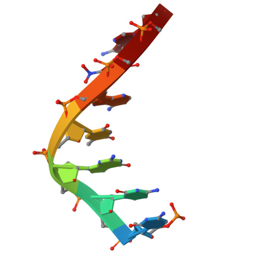 RCSB PDB - 8UY5: [ZP] Self-assembling DNA crystal with expanded genetic code using C,A,T,G, Z ...