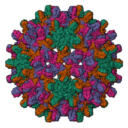 RCSB PDB - 8UYV: HBV T=4 3A mutant capsid from HEK-293T cells