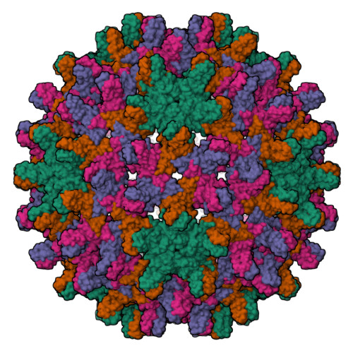 RCSB PDB - 8UYZ: HBV Cp149 capsid protein (HBV dimer co-assembled with ...