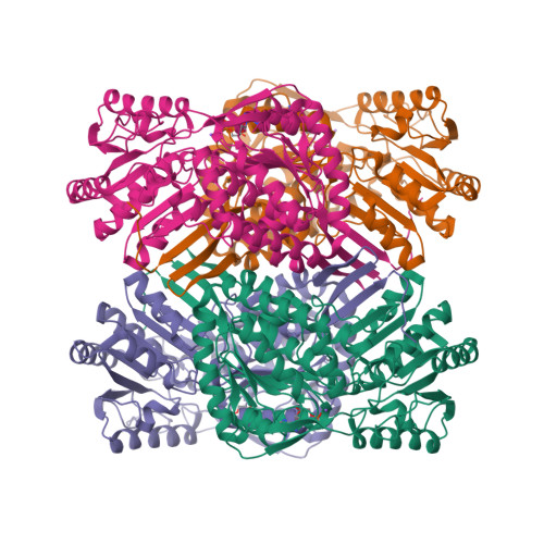 RCSB PDB - 8UZN: Crystal Structure of Betaine aldehyde dehydrogenase ...