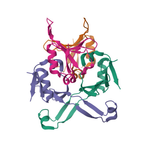 RCSB PDB - 8V3E: Structure of Myroides odoratus phage Tad2 in apo state