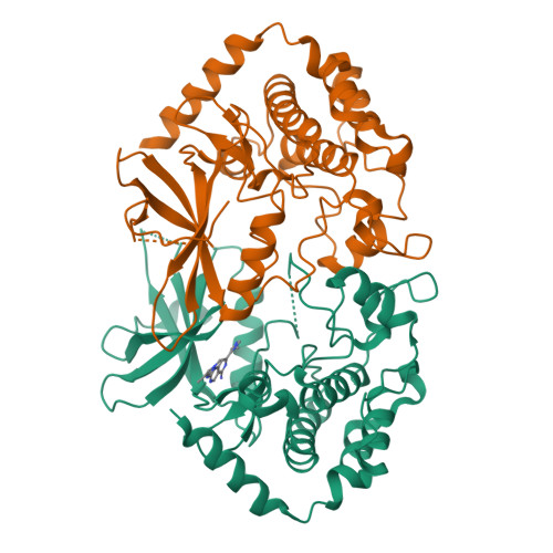 RCSB PDB - 8V5I: Crystal structure of MAP4K4 in complex with an inhibitor
