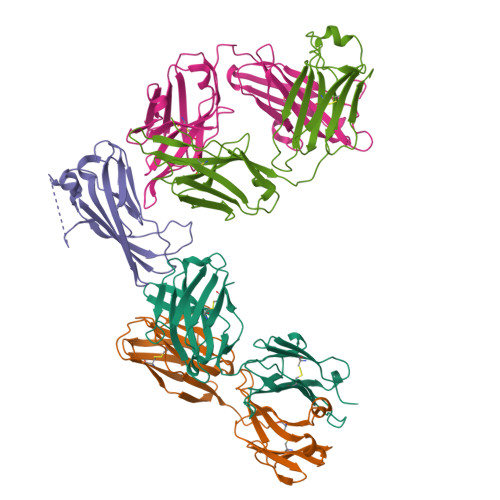 RCSB PDB - 8V5L: Structure of the Varicella Zoster Virus (VZV) gI ...