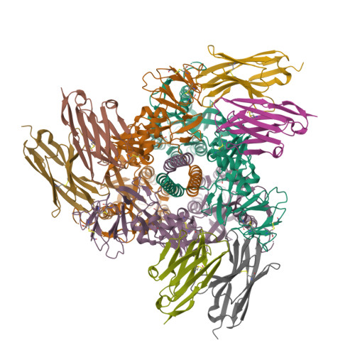 RCSB PDB - 8V62: Structure of the Human Respirovirus 3 Fusion Protein ...