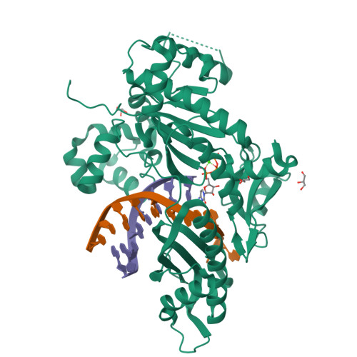 RCSB PDB - 8V7D: Human DNA polymerase eta-DNA-dT primer rCTP insertion ...