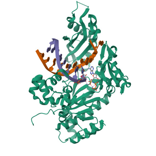 RCSB PDB - 8V7F: Human DNA polymerase eta-DNA-araC-ended primer-dAMPNPP ...
