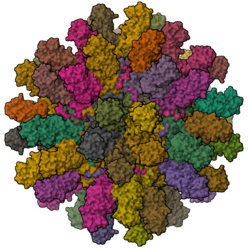 RCSB PDB - 8V7X: Cryo-EM structure of TTMV-LY1 anellovirus virus-like ...