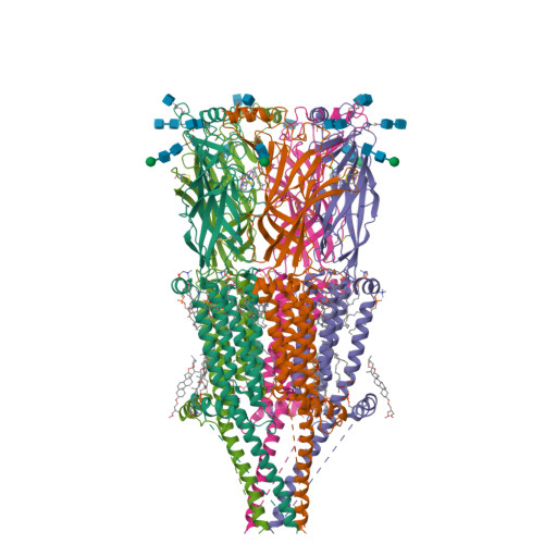 RCSB PDB - 8V82: Alpha7-nicotinic acetylcholine receptor bound to ...