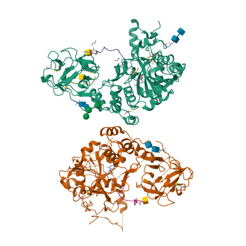 RCSB PDB - 8V9Q: Crystal structure of mGalNAc-T1 in complex with the ...