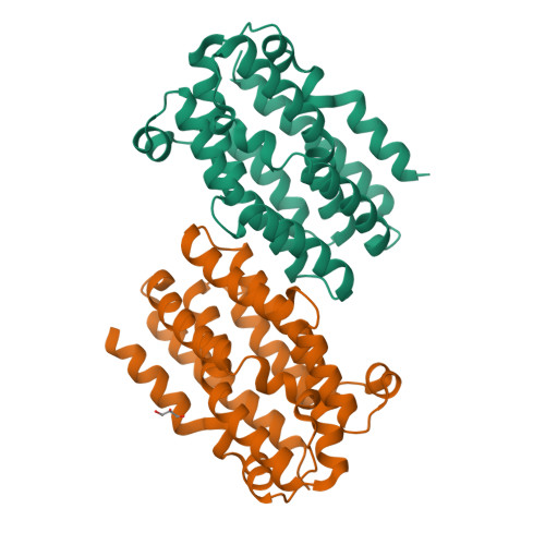 RCSB PDB - 8VAI: Crystal structure of apo CtCADD from Chlamydia trachomatis