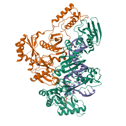 RCSB PDB - 8VBH: Kinetic intermediate states of HIV-1 RT DNA synthesis ...